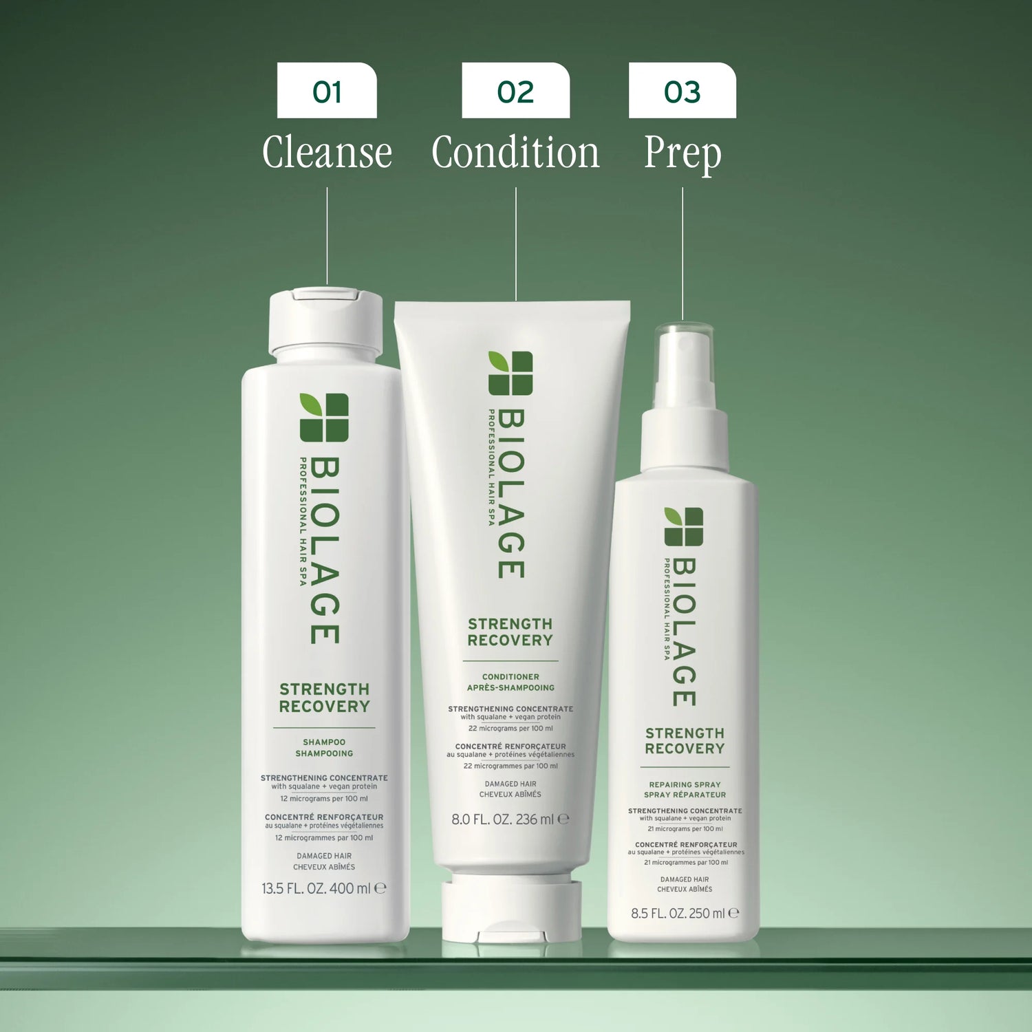 Biolage Strength Recovery Repairing Spray 250ml